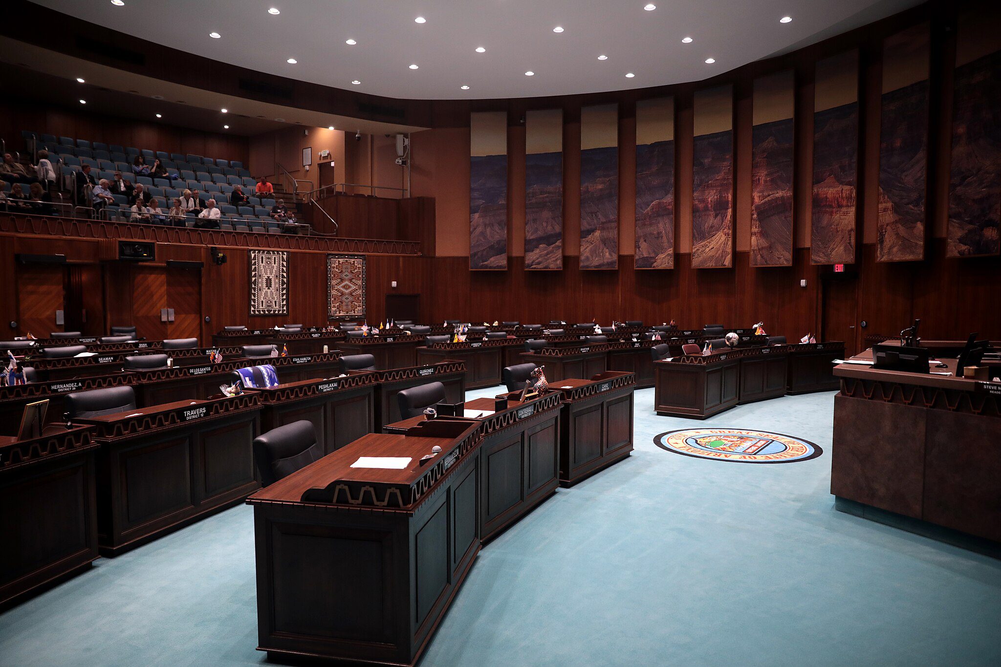 Why I'm Running for the Arizona State Legislature - Daily Remedy